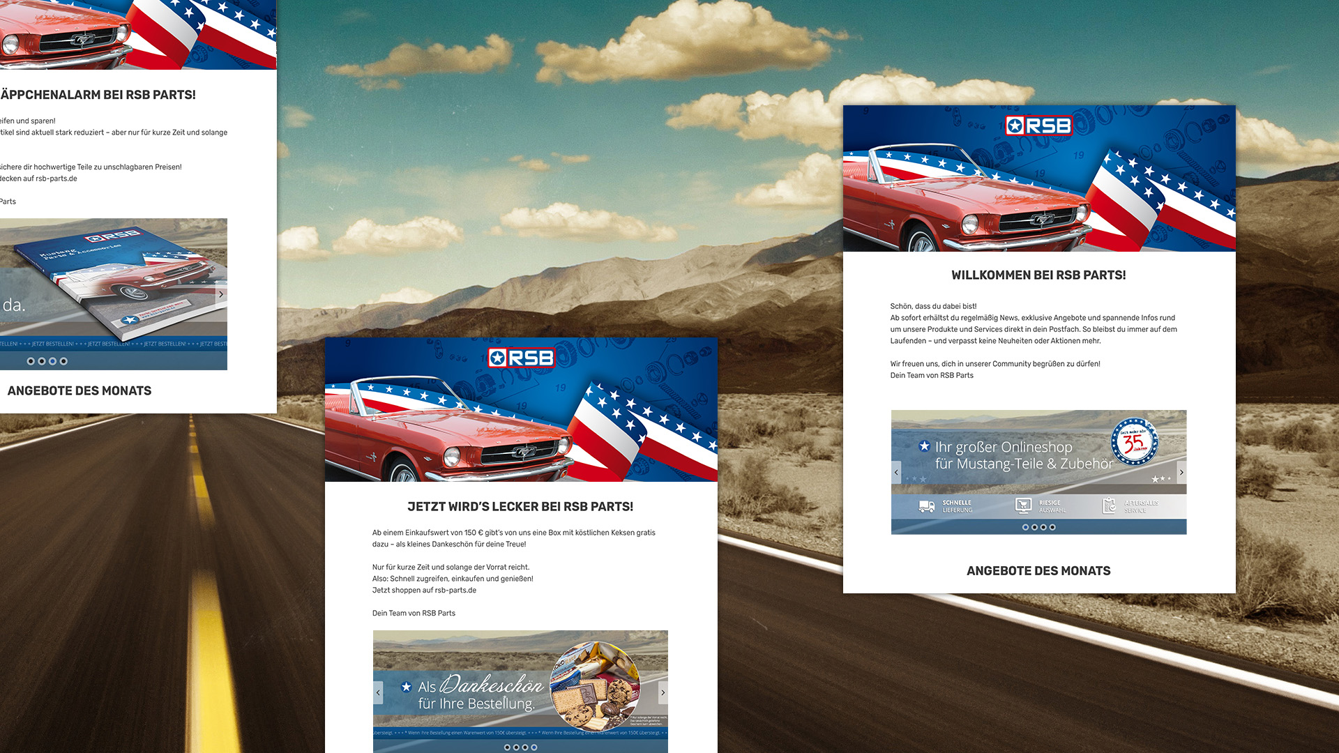 RSB Mustang Parts x VMS DESIGN®